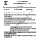 BSCS Computer Science GCUF Past Papers For Affiliated Colleges